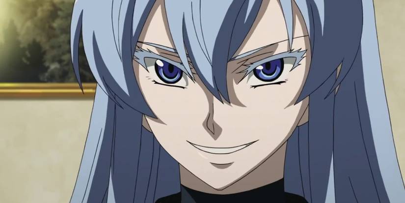 Akame Ga Kill: 10 Best Quotes From The Anime