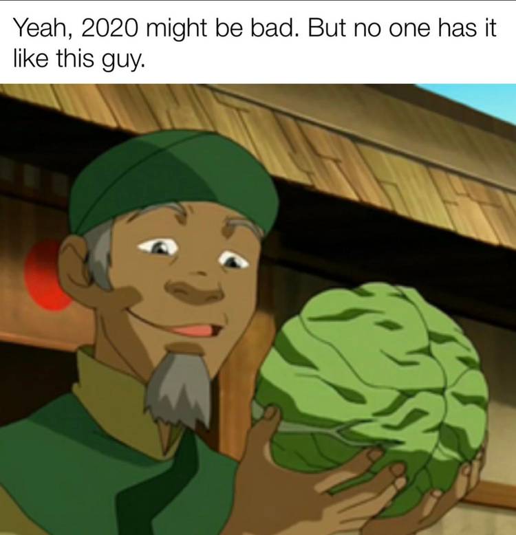 Avatar - The Last Airbender: The 10 Best Cabbage Man Memes