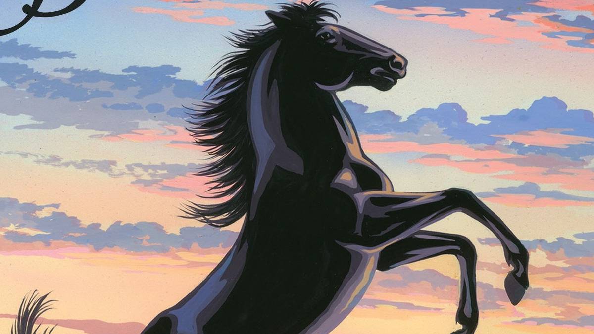 Black Beauty Movie Adaptations Ranked