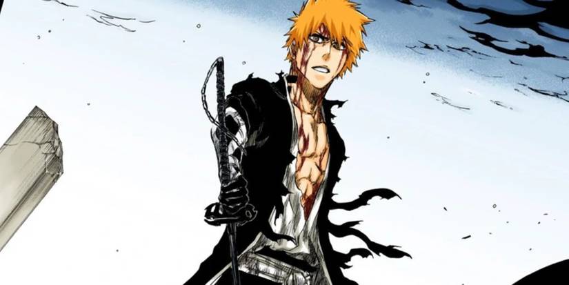 Bleach Vs. JoJo's Bizarre Adventure: Ichigo Kurosaki or Jotaro Kujo ...
