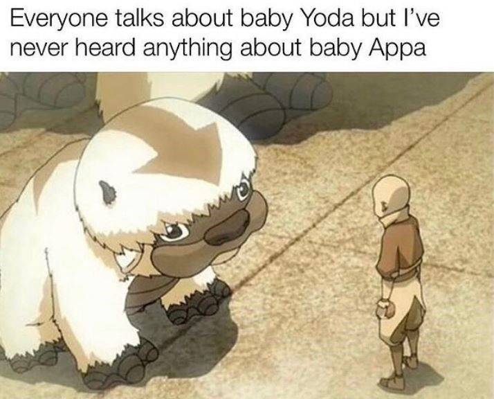 Avatar: 10 Appa Memes That Will Make You Go 'Yip Yip'