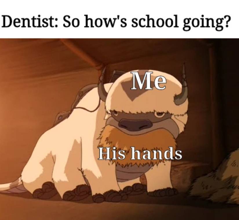 Avatar: 10 Appa Memes That Will Make You Go 'Yip Yip'