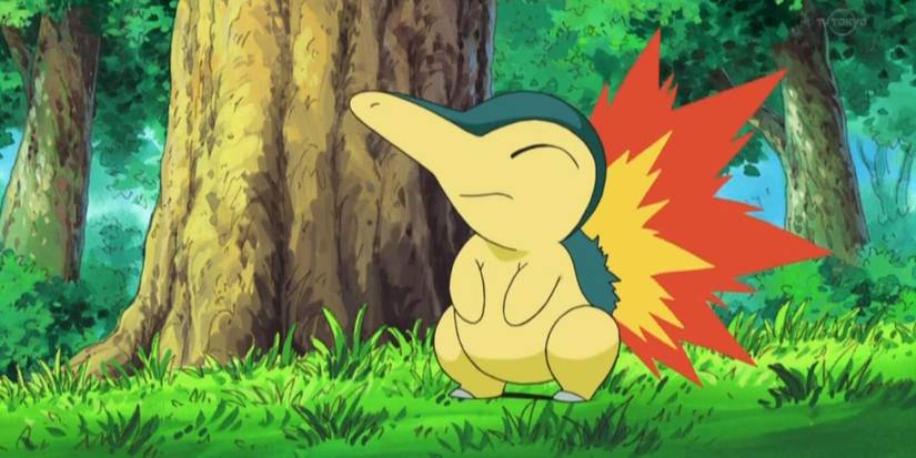 Pokémon: Ash Ketchum's First 10 Battles In Johto (& Who Won)