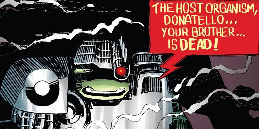 TMNT: The Ninja Turtles' STRANGEST Story Transformed One Hero Into a ...