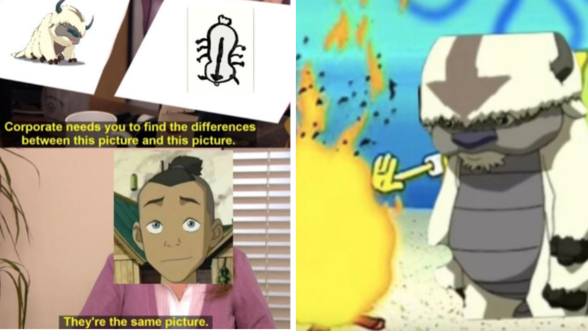 Avatar: 10 Appa Memes That Will Make You Go 'Yip Yip'