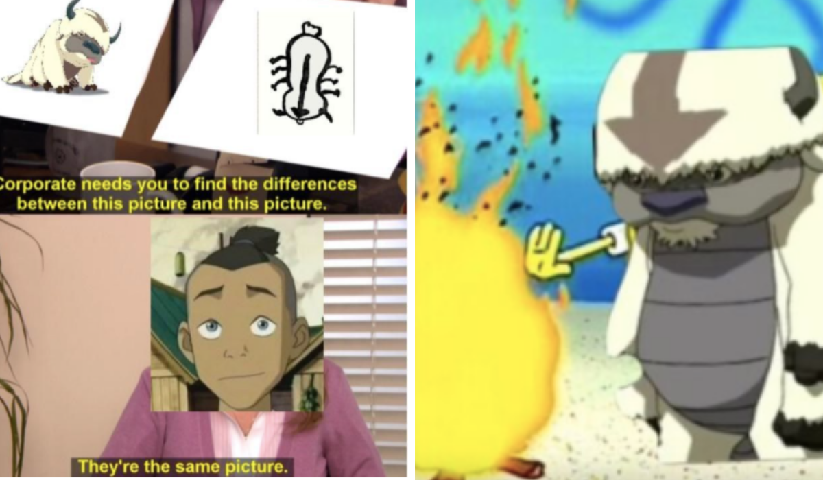 Appa Yip Yip Photo The Last Airbender Avatar Funny