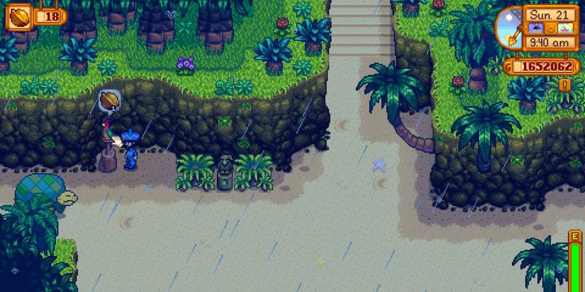 Stardew Valley: How to Unlock Ginger Island’s Secret Farm