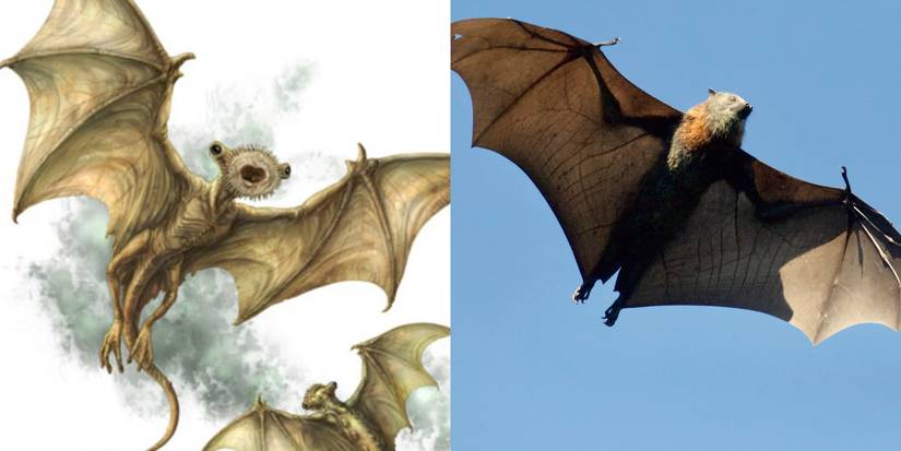 Star Wars: 10 Non-Sentient Creatures & Their Animal Counterparts