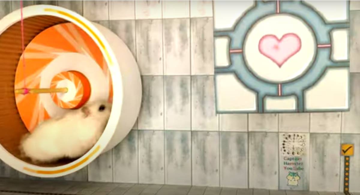 WATCH: Portal Maze Created in Real Life and Solved - By a Hamster