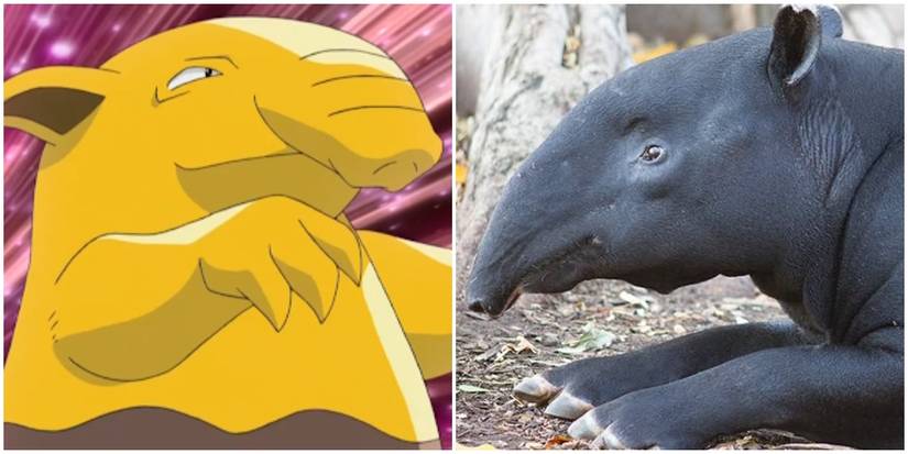 20 Pokémon That Are Basically Real Animals