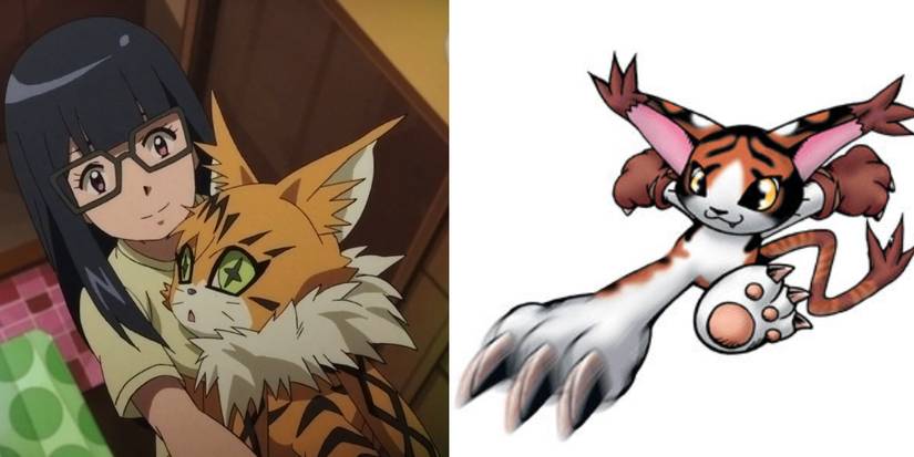 10 Digi-Destined Who Deserve Better Digimon