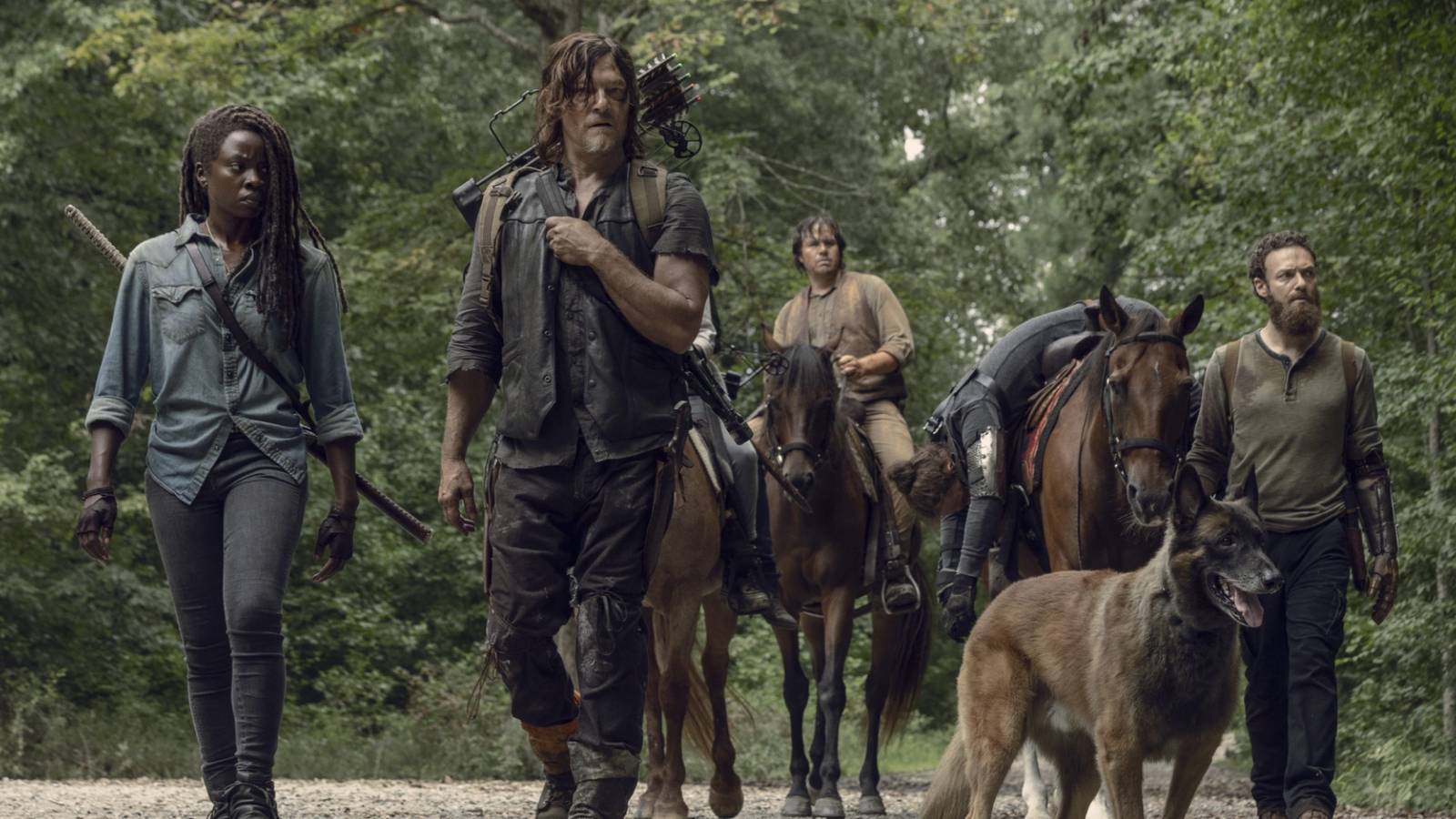 The Walking Dead Will Reveal the Origin Story of Daryl's Dog