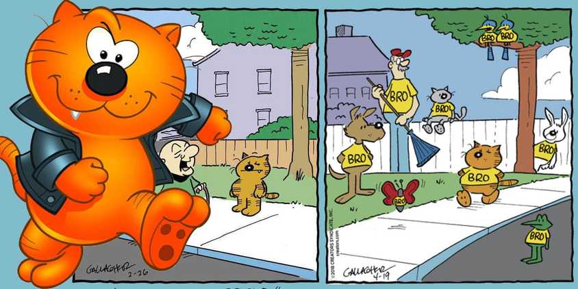 10 Comic Strip Cats Funnier Than Garfield