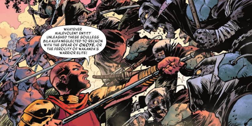 10 Things You Didn't Know About Okoye In The Black Panther Comics