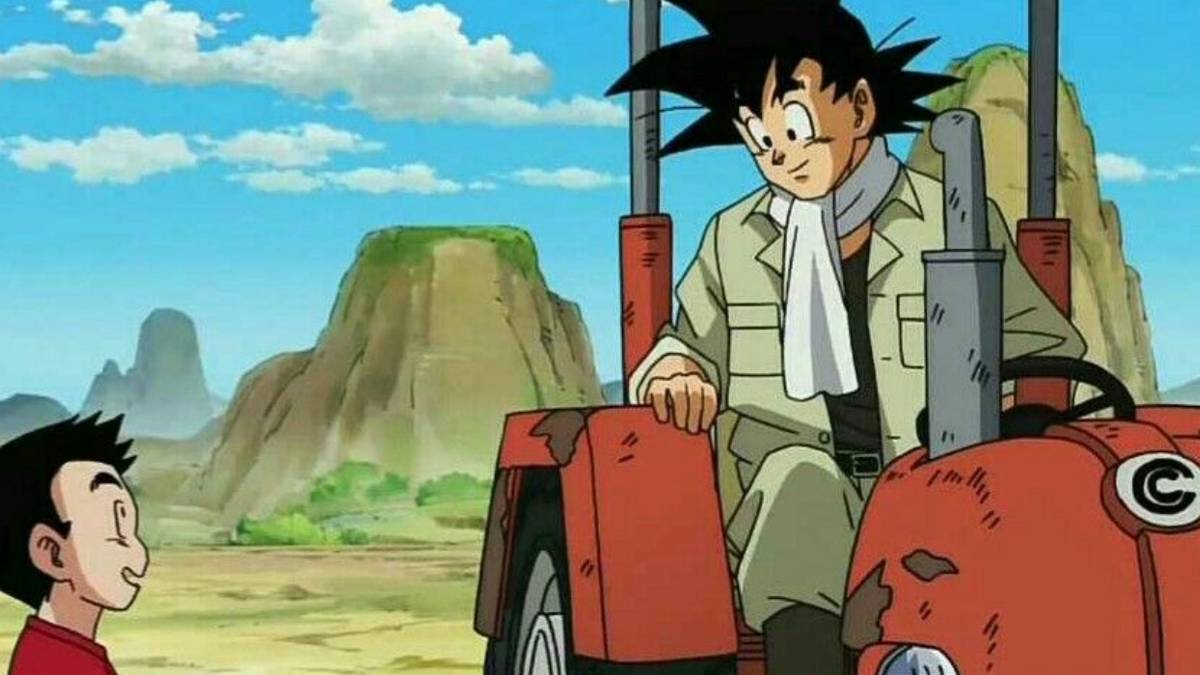 Every Z-Fighter's Real Job in Dragon Ball Super