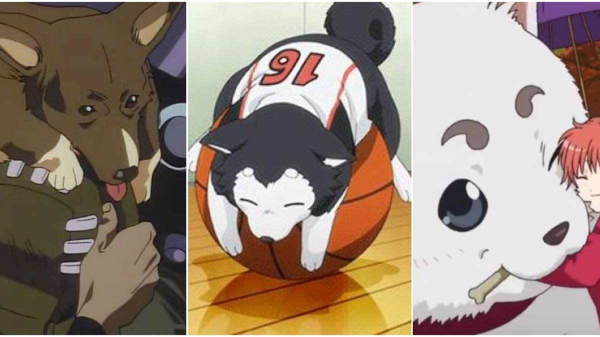 10 Most Loyal Canines In Anime, Ranked