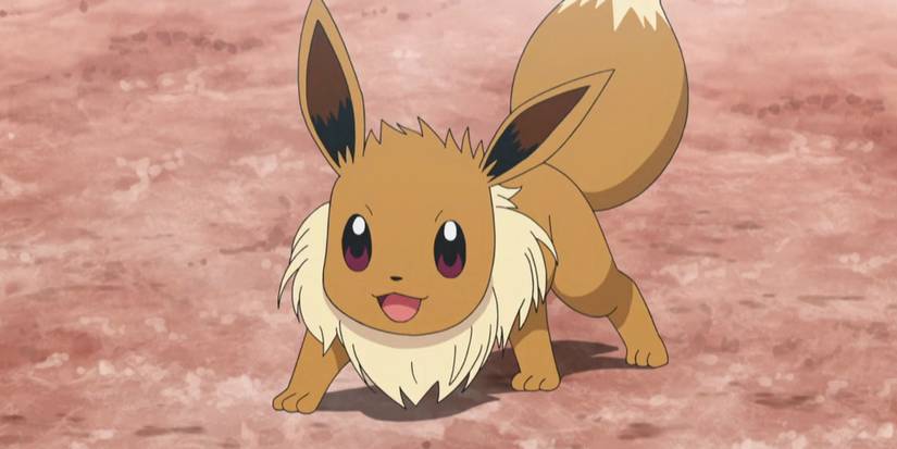 10 Pokémon To Win Every Cuteness Contest