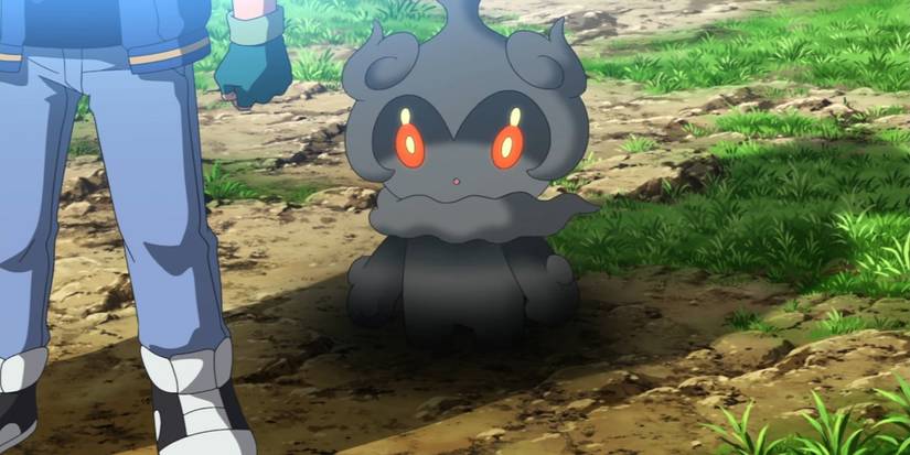10 Weirdest Pokémon Categories