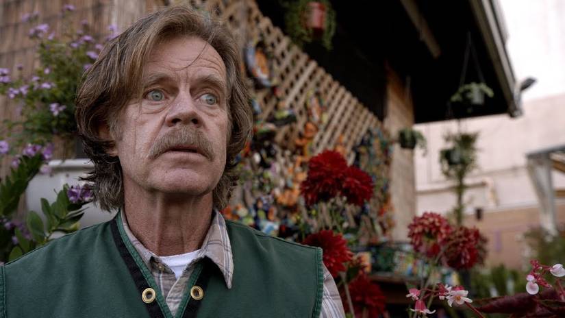 How Old Are the Shameless Main Characters?