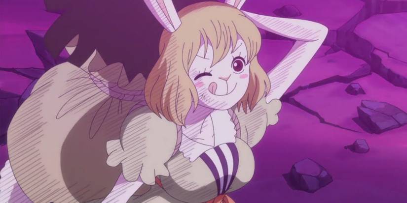 One Piece: Everything Important You Need To Know About Inherited Will