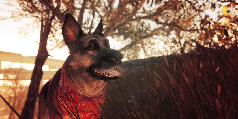 The Best Dogs in Video Games