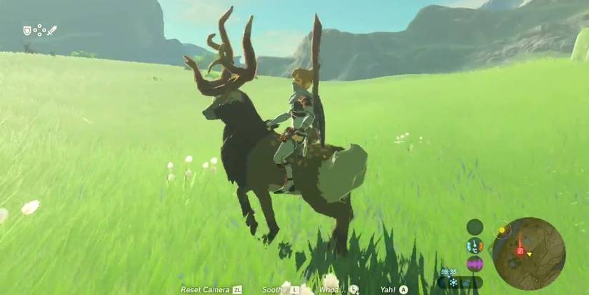 Zelda Breath Of The Wild: 10 Shrine Challenges That Needed Walkthroughs