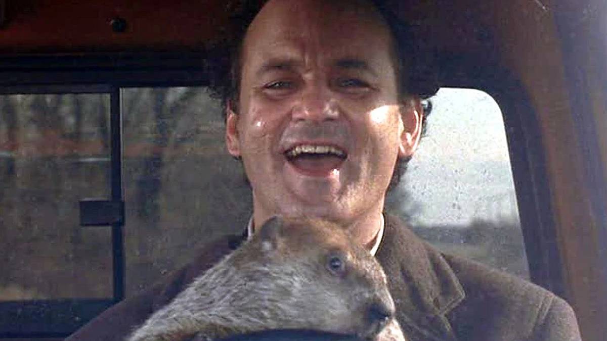 Groundhog Day Saw Bill Murray Bitten by His Animal Co-Star