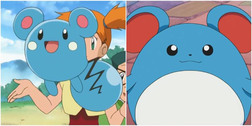 10 Best Rodent-Like Pokémon In The Anime, Ranked