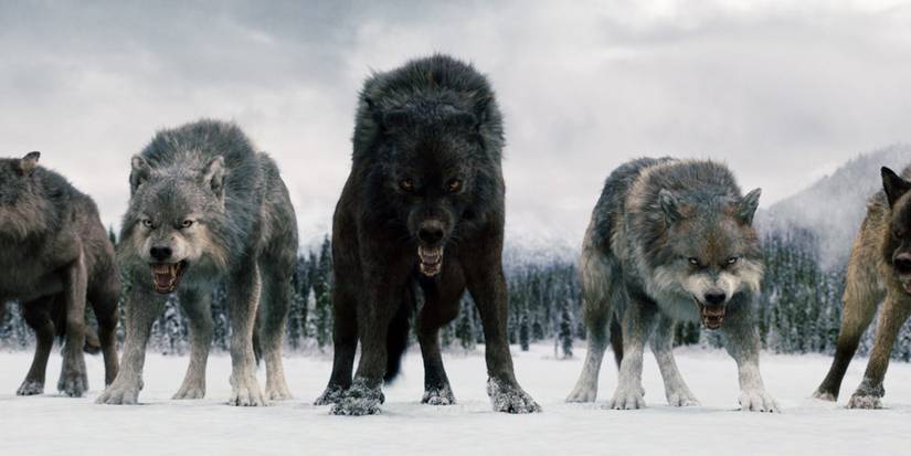 10 Scenes From the Twilight Movies That Need to Be in the Reboot