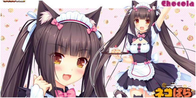 10 Cutest Anime Catgirls Who Embrace Their Inner Felines