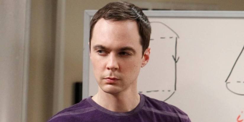 10 Best Sitcom Tropes The Big Bang Theory Embraces