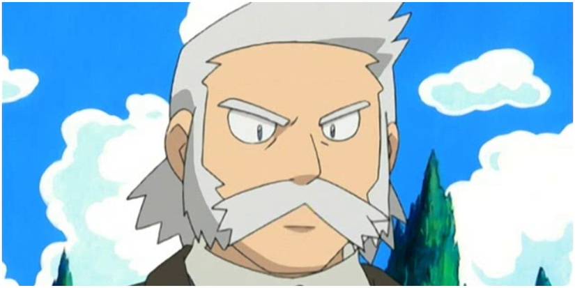 Pokémon: 10 Things The Professors Study In The Core Games