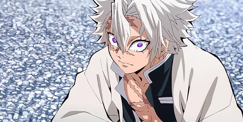 Demon Slayer: Could Another Hashira Have Won Against Akaza?