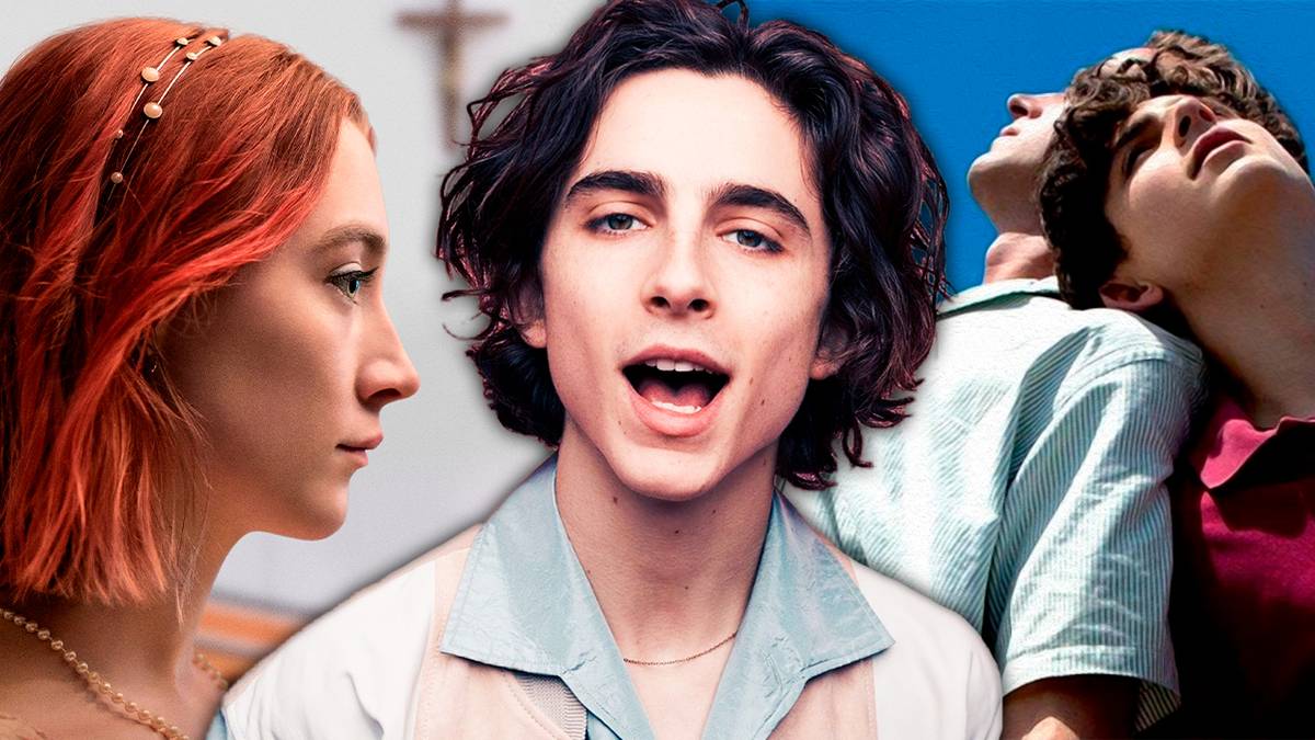 Timothée Chalamet's 5 Best Film Roles Before Dune & The French Dispatch