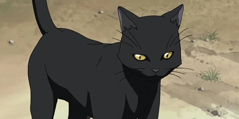 half cat anime