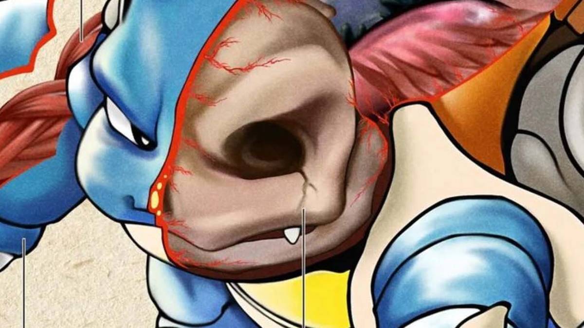 Pokémon Fan Art Reveals Blastoise's Bizarre Anatomy