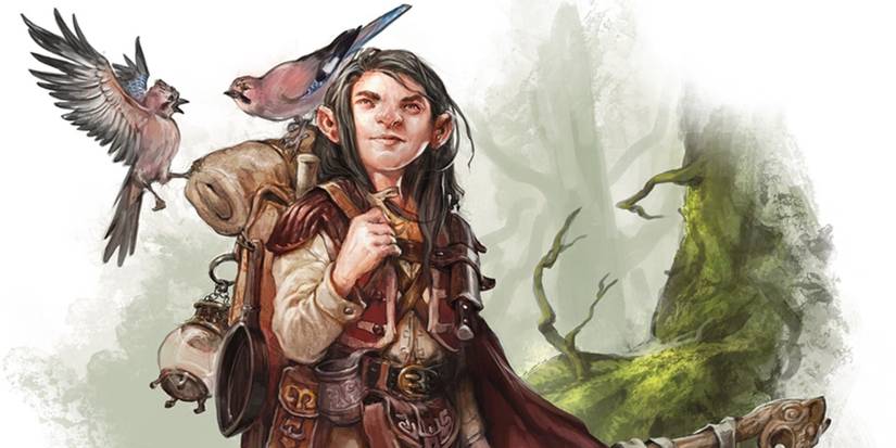 Best D&D Classes For Dwarves, Ranked