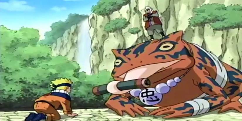 Naruto: Akamaru And 8 Other Animal Companions In The Anime
