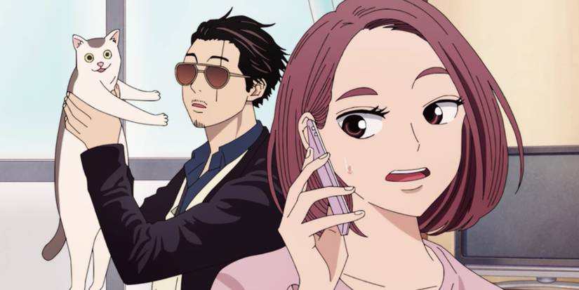 10 Most Unexpected Couples In Anime, Ranked