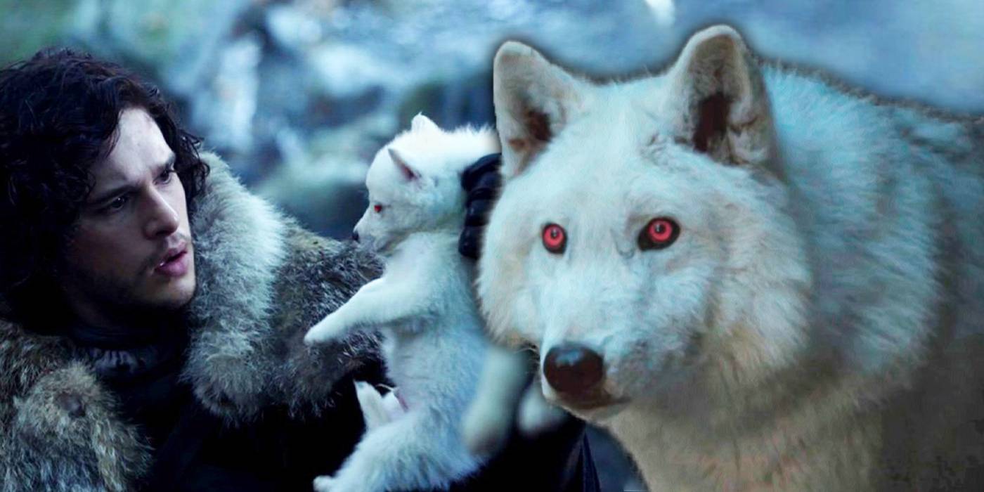 The Fate of Game of Thrones' Direwolves, Explained