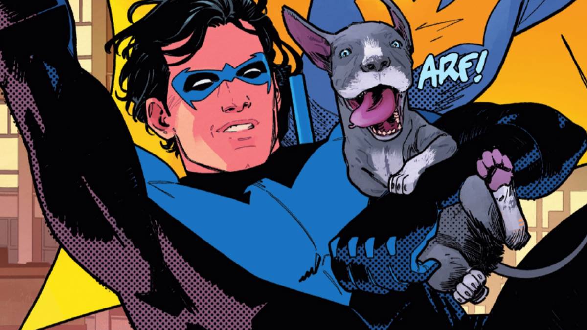 Nightwing: 8 Things You Didn't Know About Bitewing