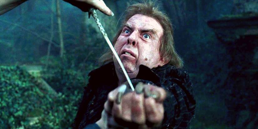 10 Strongest Animagi In Harry Potter, Ranked