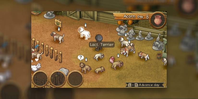 10 Rarest Nintendo DS Games (& How Much They're Worth)