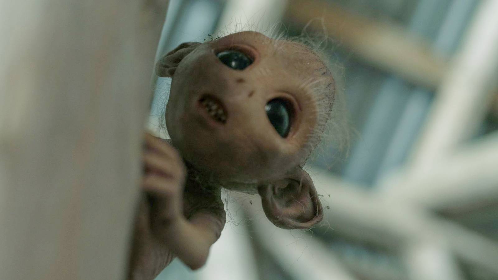 Netflix's Elves Is Too Cute to Be Horror