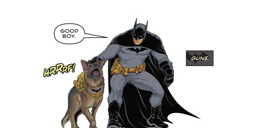 Batman Thinks the Perfect Superheroes Are Dogs Is He Right?