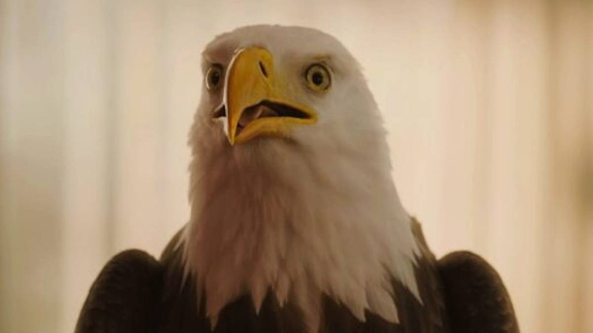 Why Peacemaker Uses a Digital Bald Eagle Instead of a Real One