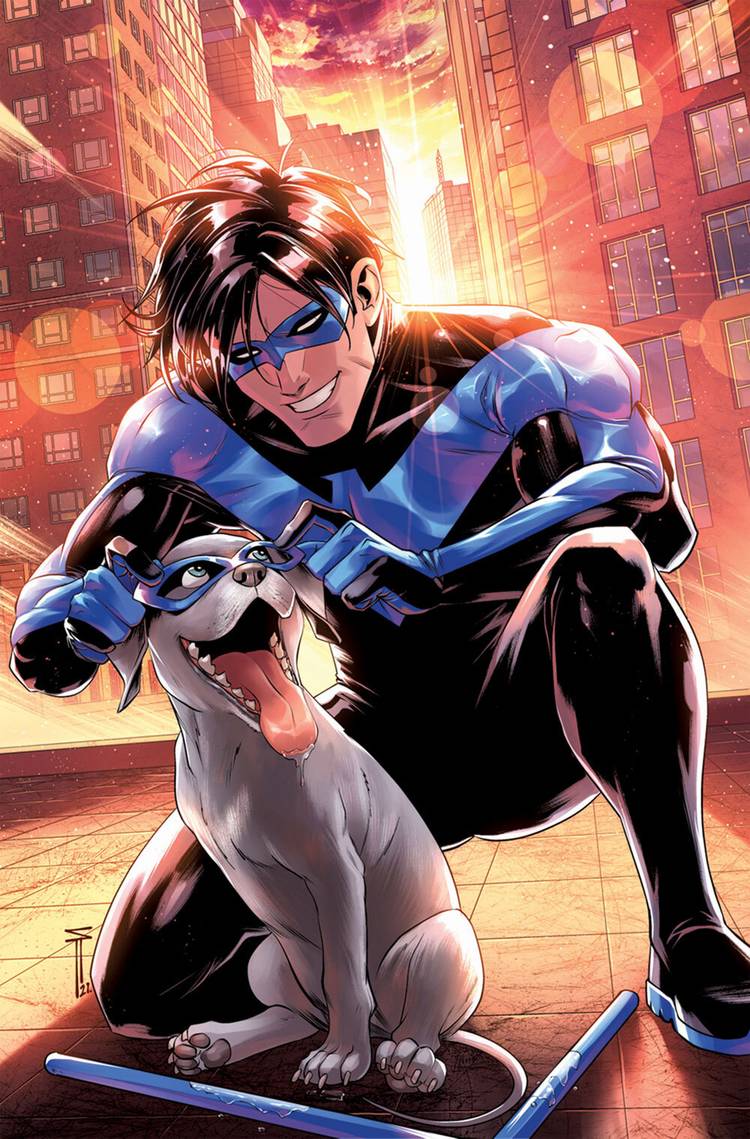 Nightwing's New 'Partner' Bitewing Gets Her First Costume on an ...