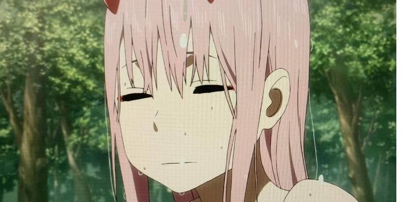 Darling In The Franxx: Zero Two's 5 Best Traits (& 5 Worst)