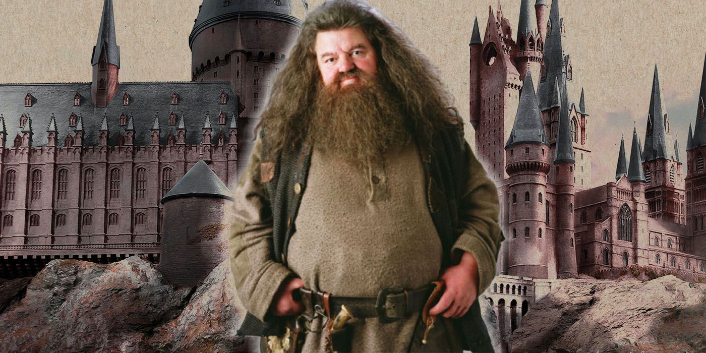 Harry Potter TV Show Unveils First Look at Nick Frost's Hagrid