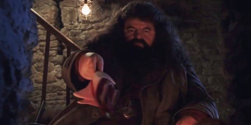 Where Did Hagrid’s Wand Come from and Why Does It Look So Ridiculous?